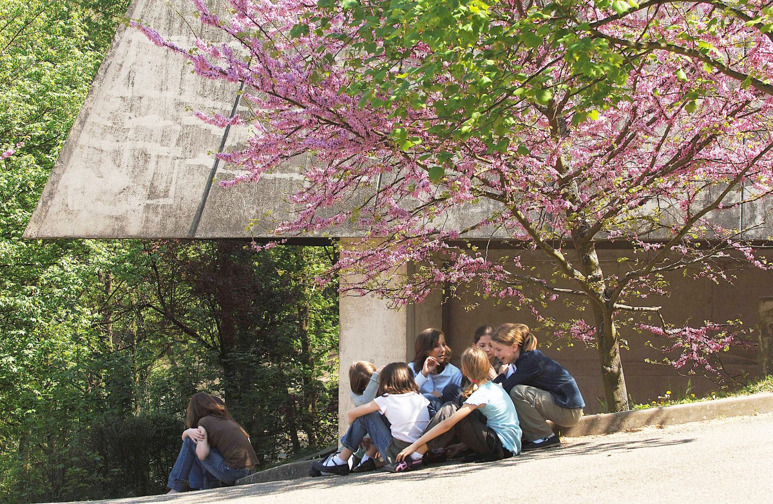 Portes ouvertes de Sainte-Marie Lyon - Sainte-Marie Lyon
